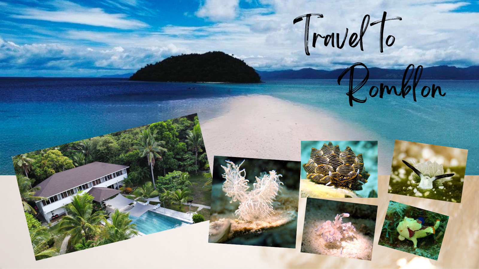 Contact us - Sunset Cove Beach and Dive Resort – Your Gateway to ...